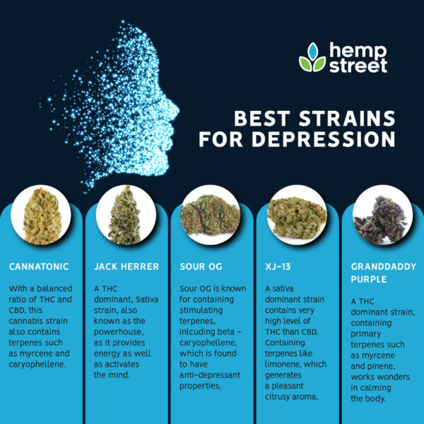 Best Cannabis Strains for Depression - Hempstreet